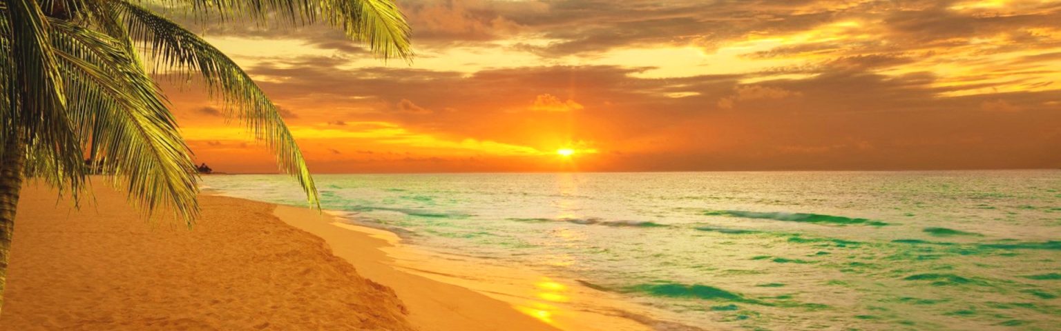 Nicole Ann Alcorn | Angelcrest Inc. | Valparaiso IN USA